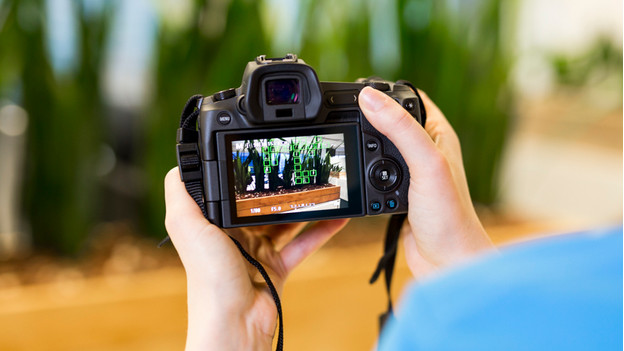 Expert review of the Canon EOS R - Coolblue - anything for a smile