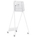 Samsung Flip 2 Stand (55 inch) - Coolblue - Voor 23.59u, morgen in huis