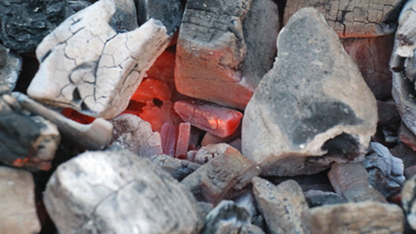 Charcoal or briquettes: what do you use? - Coolblue - anything for a smile